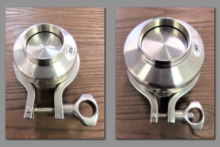 Pentair F264J Hygienic Check Valves | Stainless Steel | Australia